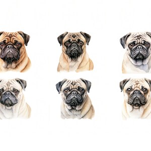 Watercolor Pug Clipart Bundle 33 High Quality PNG & JPEG, Gift for Dog ...