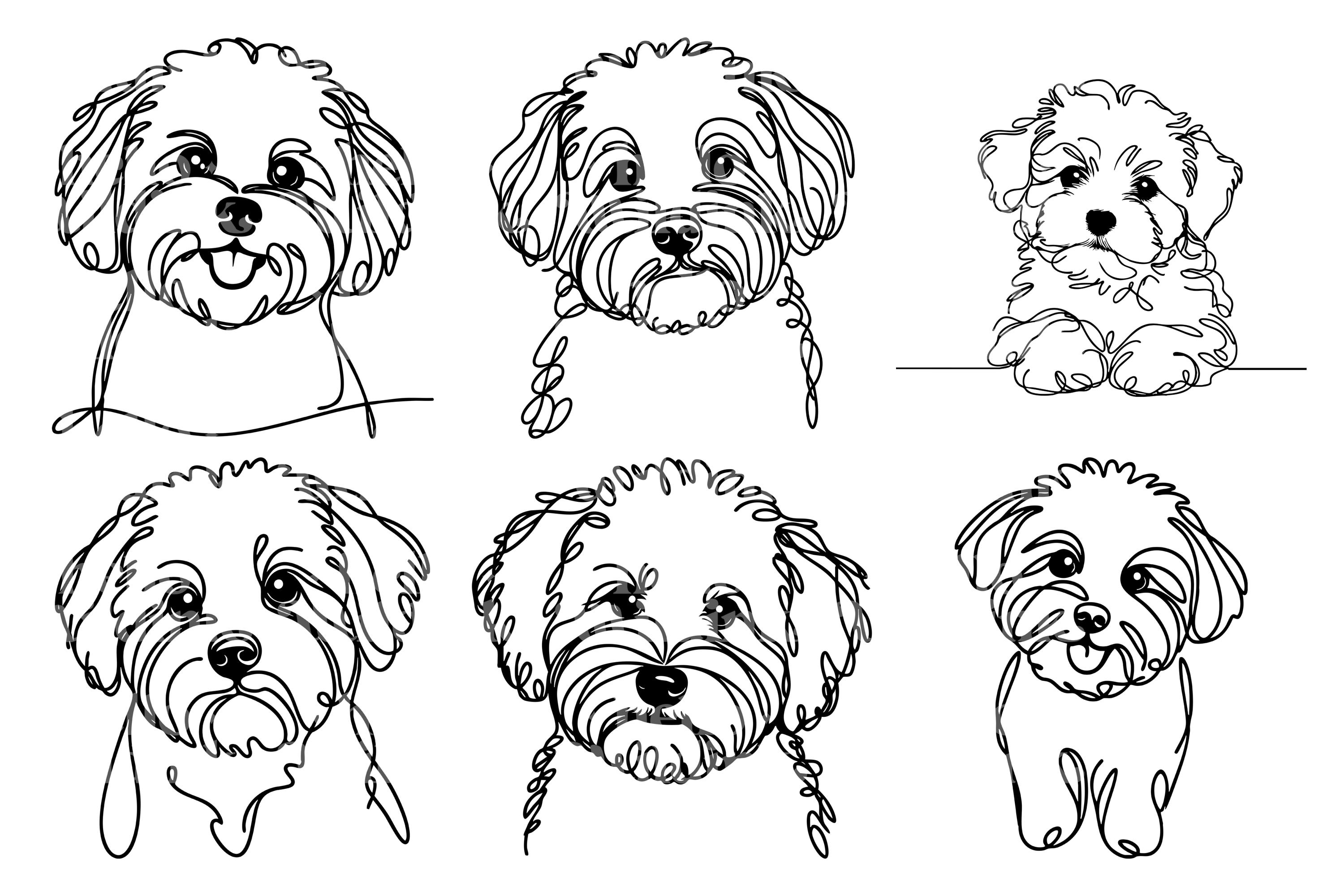 Maltipoo Line Art Clipart Bundle: Minimalist Dog SVG, PNG (digital ...