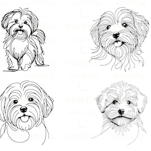Havanese Line Art Clipart Bundle: Minimalist Dog Vector (digital ...