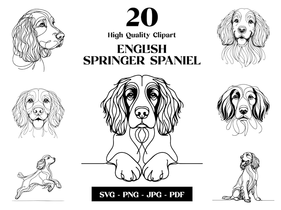 English Springer Spaniel SVG & PNG Clipart Bundle: Digital Line Art ...