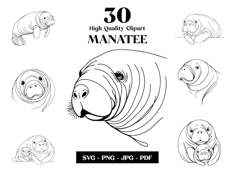 Manatee Line Art SVG: Minimalist Logo, Tattoo & Sublimation (digital ...