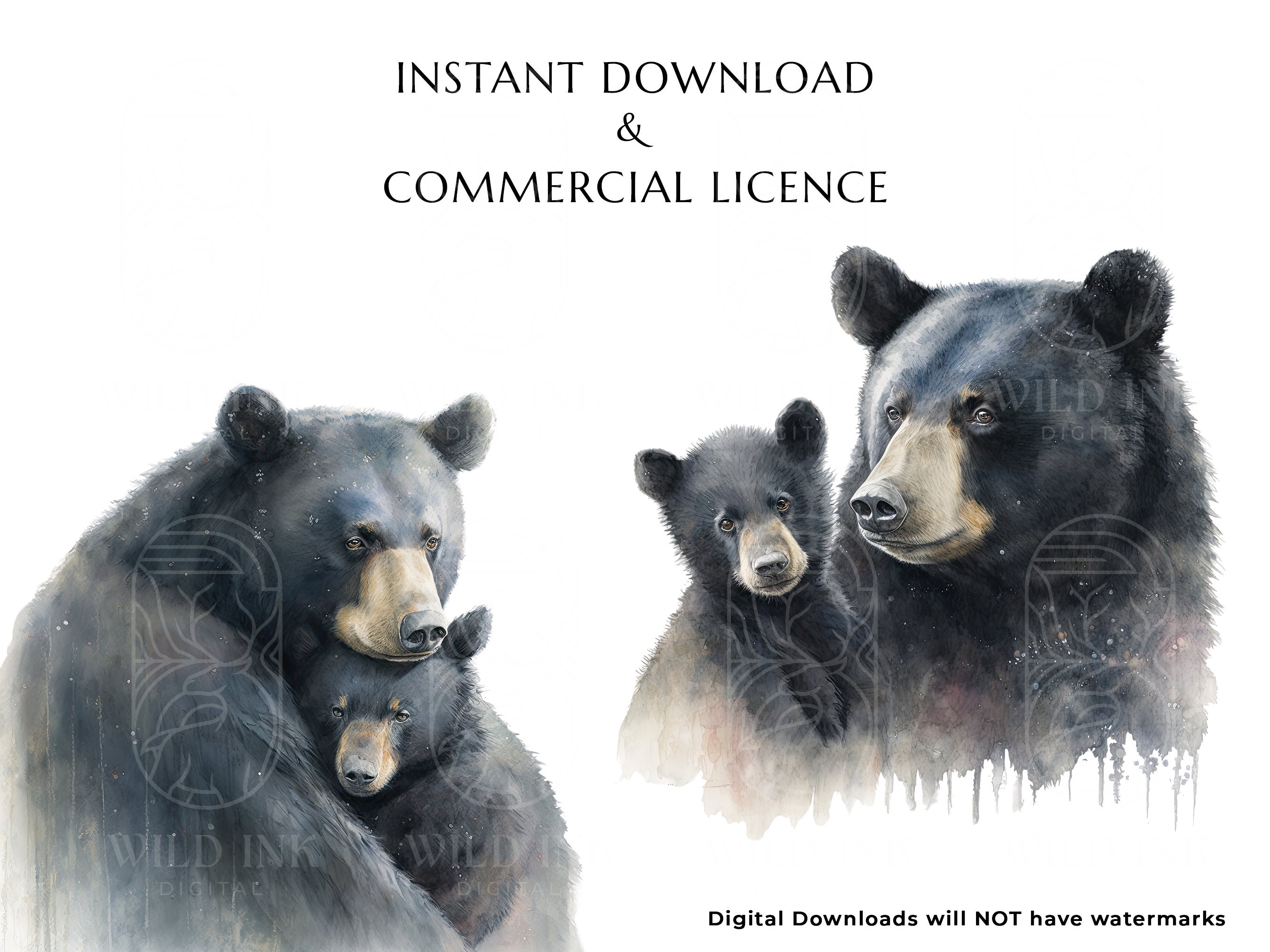 Mom and Baby Bear Clipart 9 High Quality Pngs Watercolor - Etsy