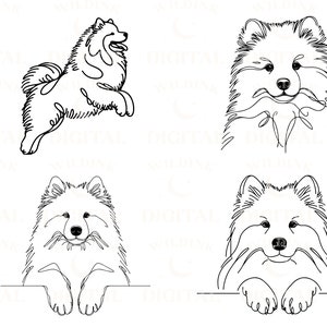 Samoyed SVG & PNG Clipart Bundle: Digital Line Art, Minimalist Vector ...