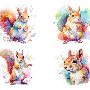 Watercolor Squirrel Clipart: 15 PNG & JPEG Woodland Animal Graphics ...