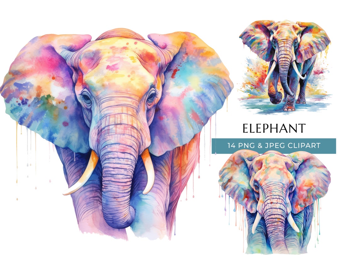 Watercolor Elephant Clipart: Safari Animal PNG & JPEG (digital Download ...