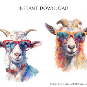 Watercolor Goat Clipart With Sunglasses, 13 High-quality PNG & JPEG ...