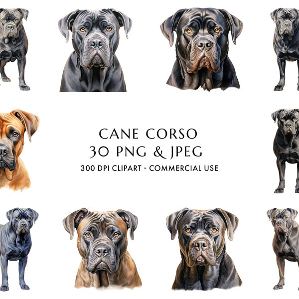 Cane Corso Png - Etsy