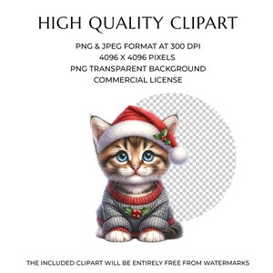 Watercolor Christmas Cats Clipart Bundle, 68 Cute Kittens PNG & JPEG ...