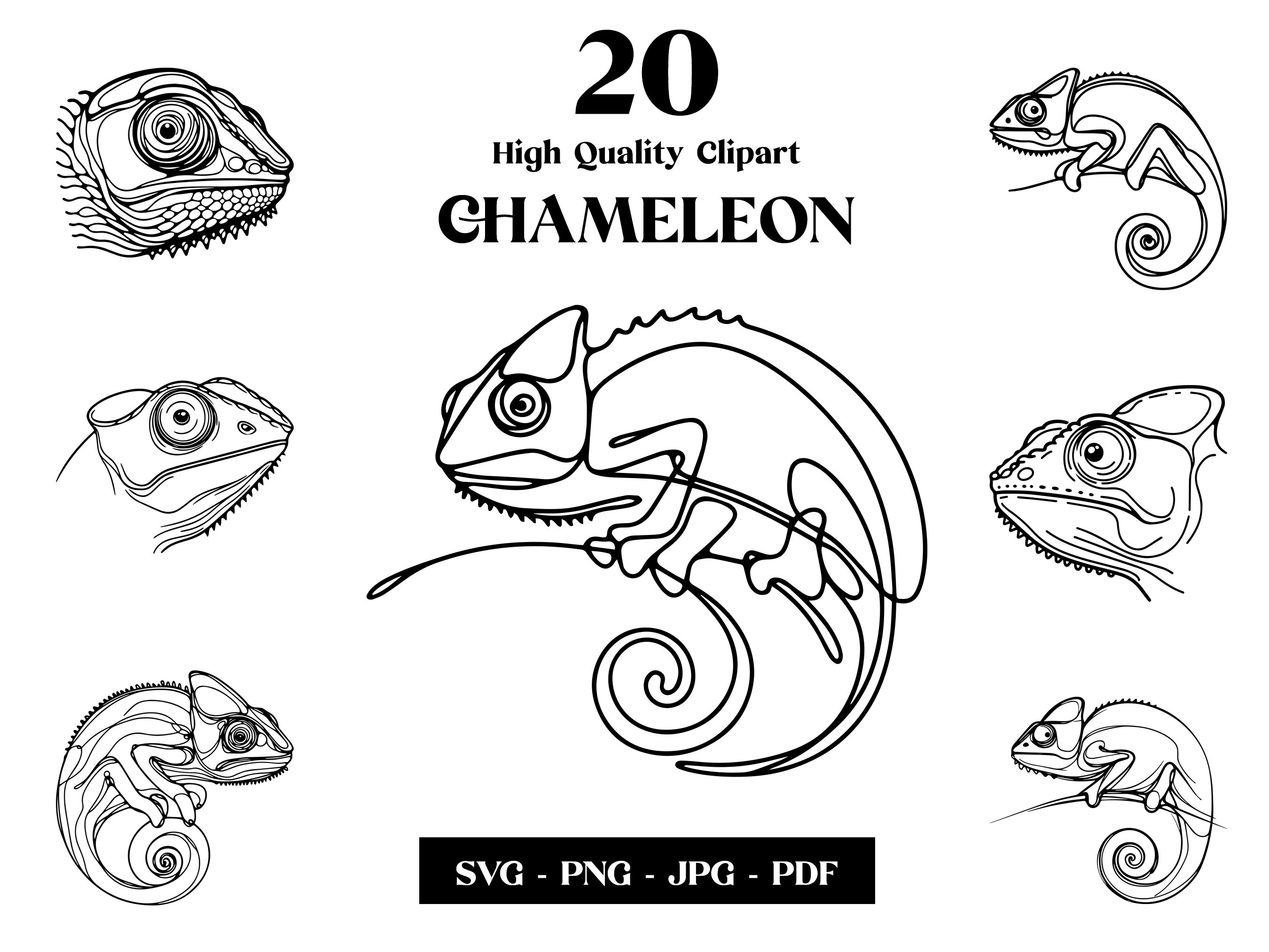 Chameleon Outline Colorful Chameleon Template | Teach Starter