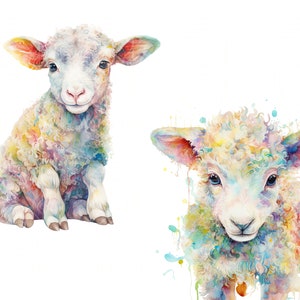 Baby Sheep Watercolor Clipart 7 Pngs, Nursery Decor, Farm Theme Wall ...