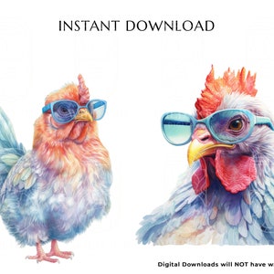 Watercolor Chicken Clipart With Sunglasses: Farm Animal PNG JPEG ...