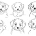 Maltipoo Line Art Clipart Bundle: Minimalist Dog SVG, PNG (digital ...