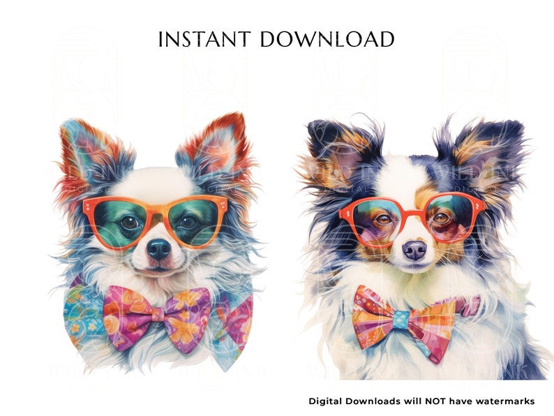 Cool Papillon Dog Clipart 12 High Quality Pngs Funny Dogs - Etsy