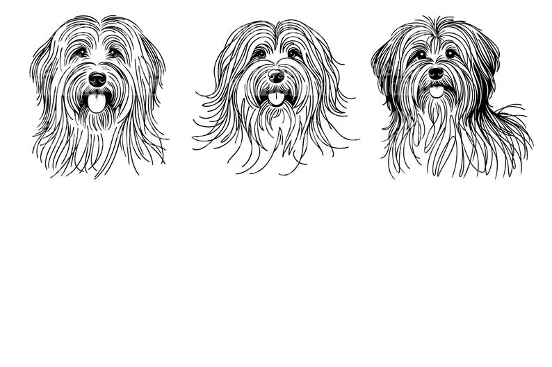 Havanese Line Art Clipart Bundle: Minimalist Dog Vector (digital ...
