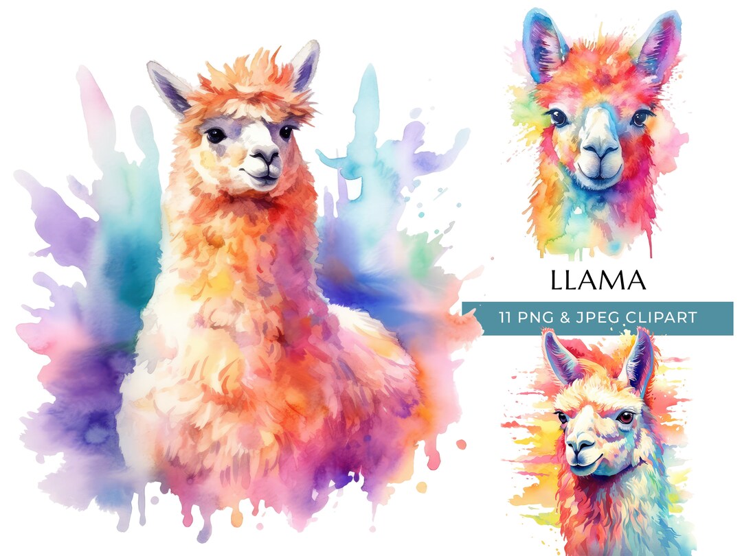 Watercolor Llama Clipart – Colorful Farm Animal PNG & JPEG (digital ...