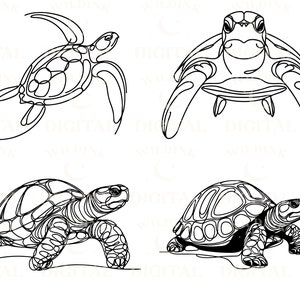 Turtle SVG Clipart: Minimalist Line Art Animal Vector (digital Download ...