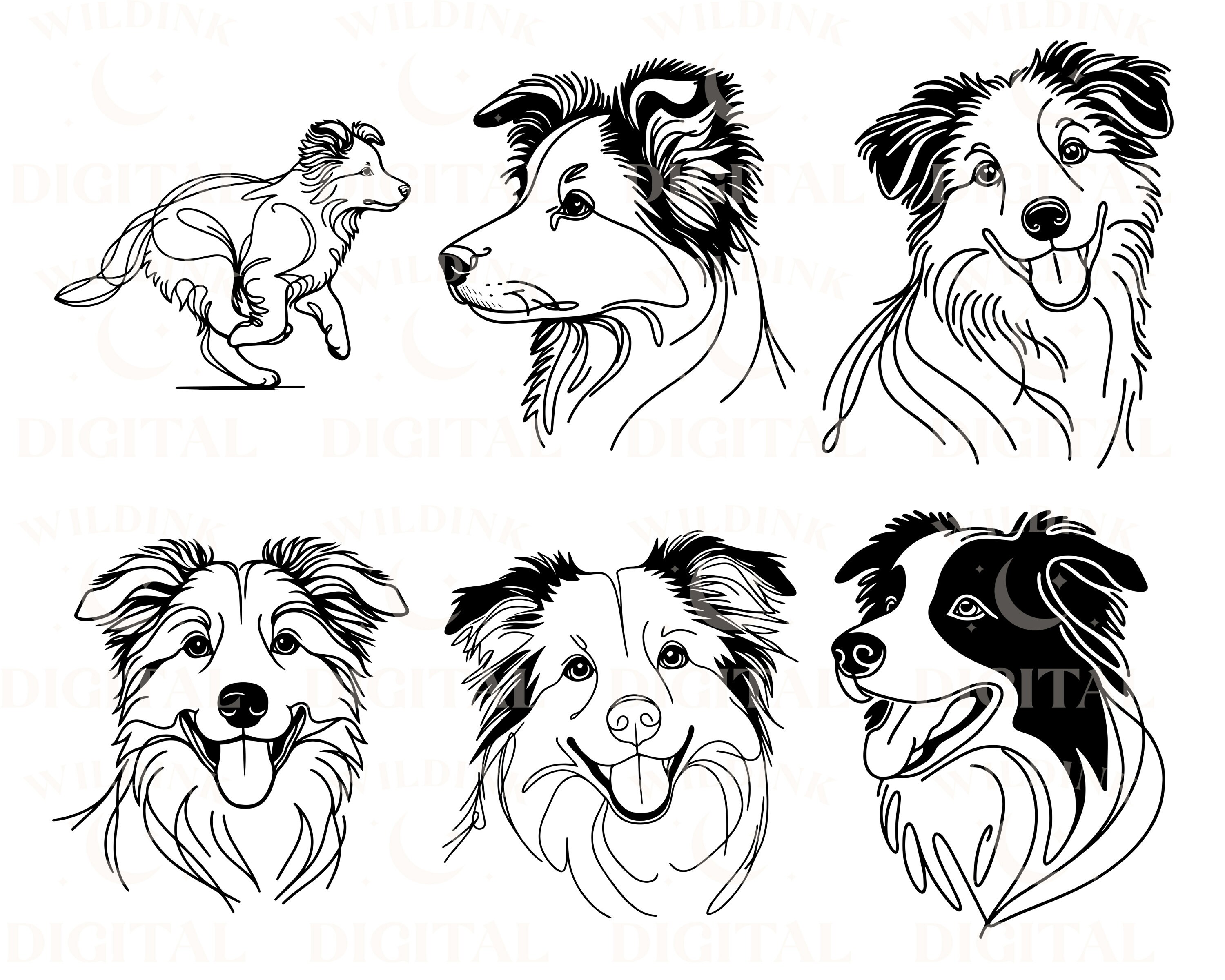 Border Collie Line Art: Dog SVG & PNG Clipart Bundle (digital Download ...