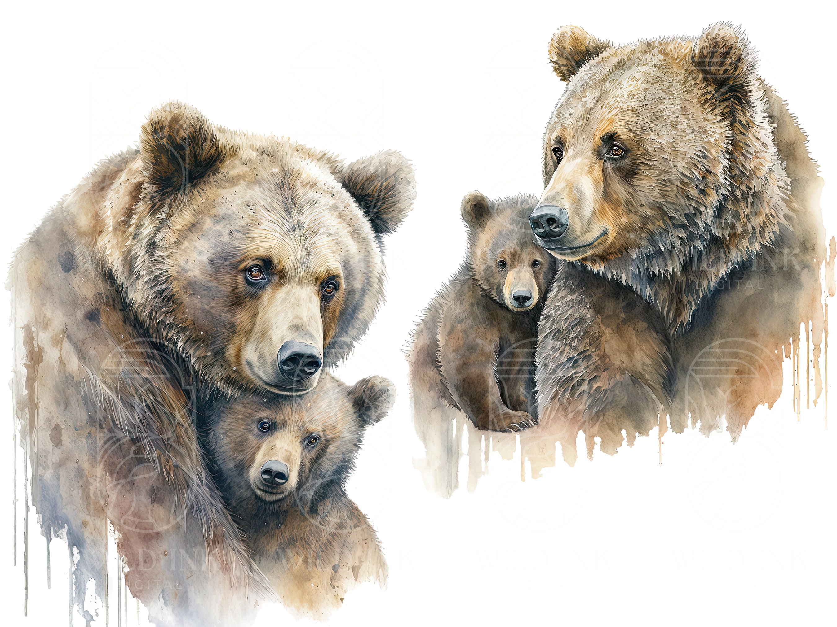 Mom and Baby Bear Clipart 10 High Quality Pngs Watercolor - Etsy