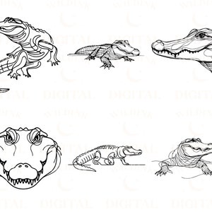 Alligator Line Art SVG: Minimalist Animal Vector (digital Download) - Etsy