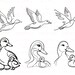 Duck Line Art SVG Clipart: Minimalist Farm Animal Vector (digital ...