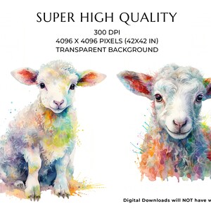 Baby Sheep Watercolor Clipart 7 Pngs, Nursery Decor, Farm Theme Wall ...