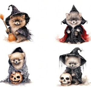 Pomeranian Halloween Dog Watercolor Clipart - 16 High-quality PNG ...