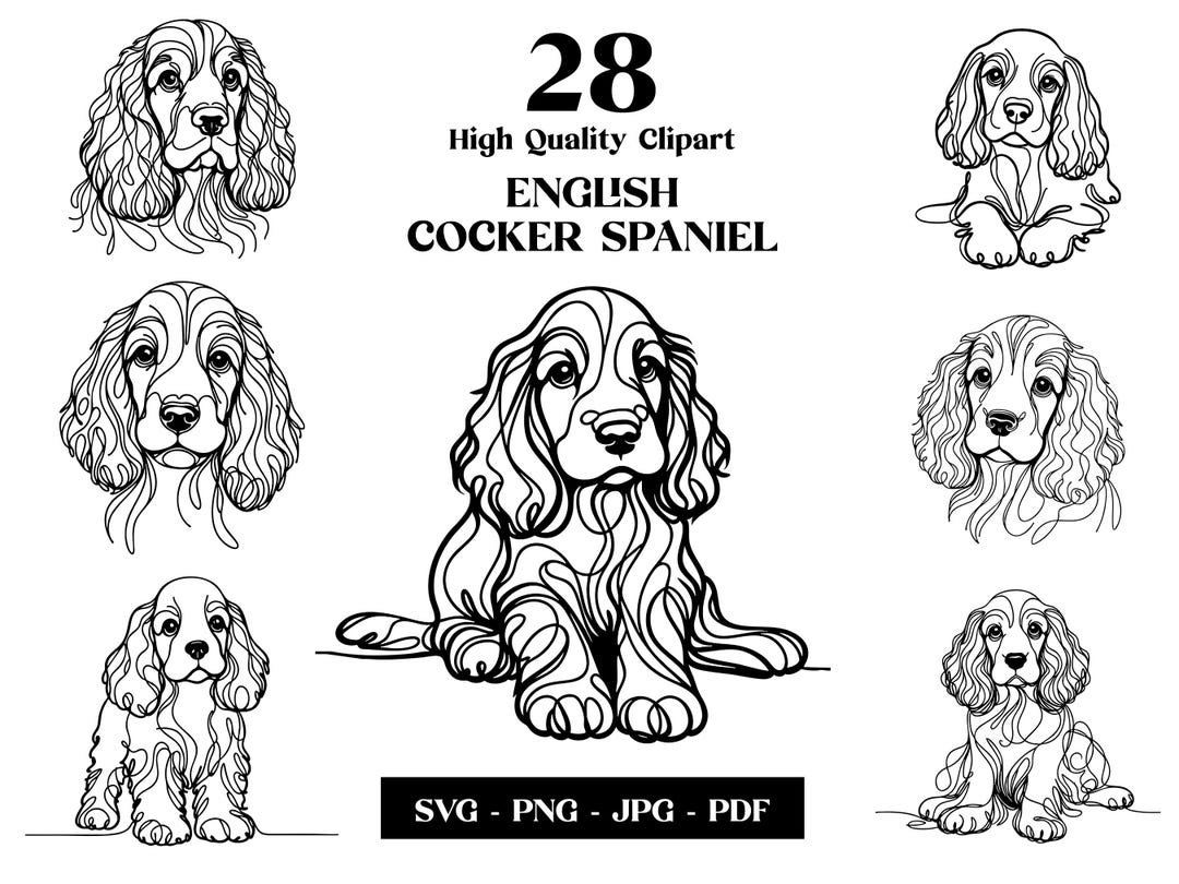 English Cocker Spaniel Line Art Clipart Bundle (digital Download) - Etsy