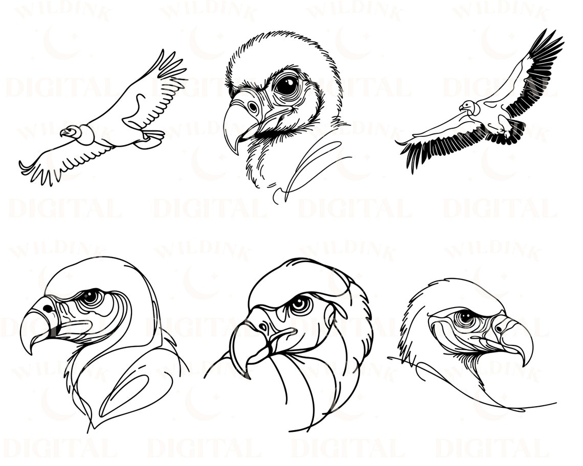 Condor Line Art SVG Clipart: Minimalist Tattoo Design (digital Download ...
