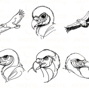 Condor SVG Clipart, Minimalist Line Art, Logo Animal Vector, Modern Art ...