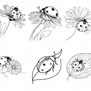 Ladybug SVG Clipart, Lady Beetle Minimalist Line Art, Logo Animal ...