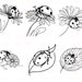 Ladybug Line Art SVG Clipart: Minimalist Tattoo Design (digital ...