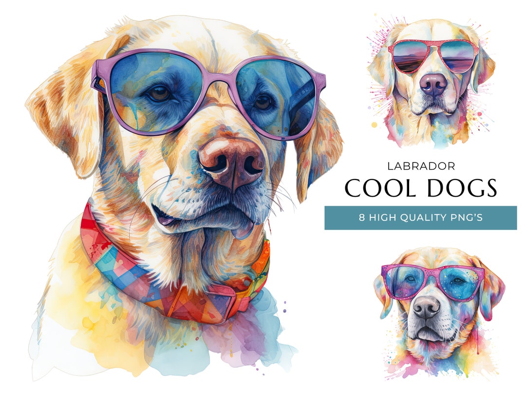 Cool Labrador Retriever Dog Clipart, 8 High Quality Pngs, Funny Dogs ...