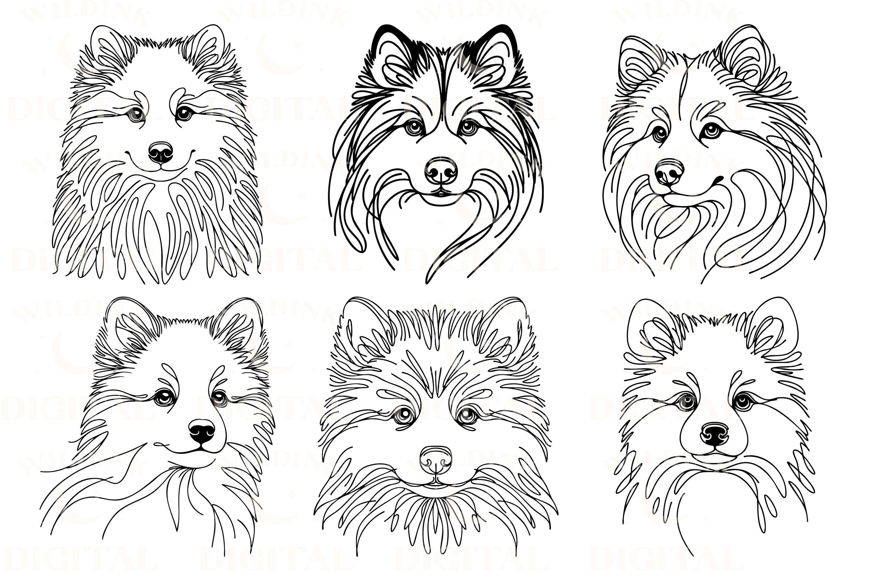 Pomsky Line Art Clipart Bundle: Minimalist Dog SVG, PNG (digital ...