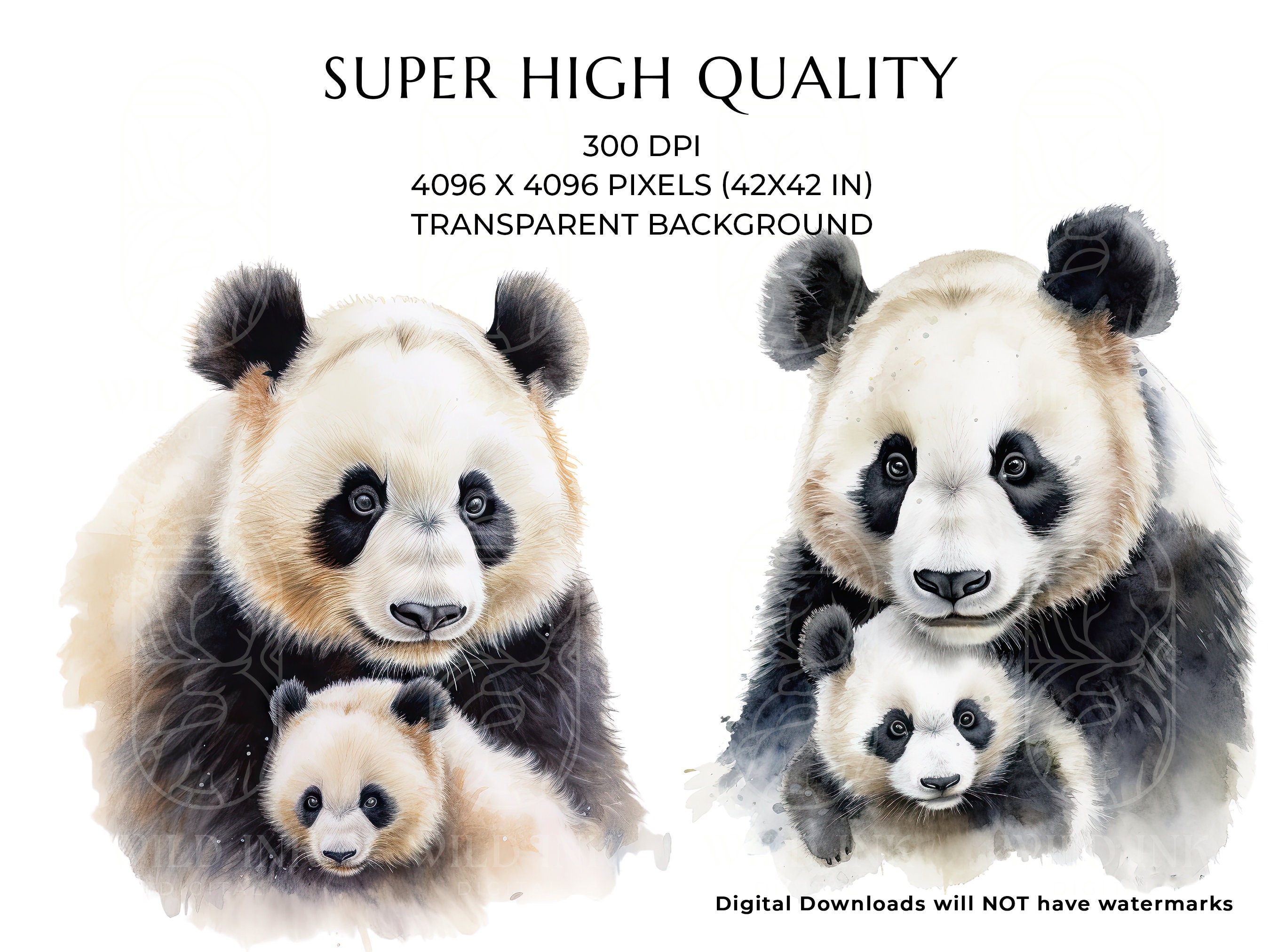 Mom and Baby Panda Bear Clipart 12 High Quality Pngs - Etsy