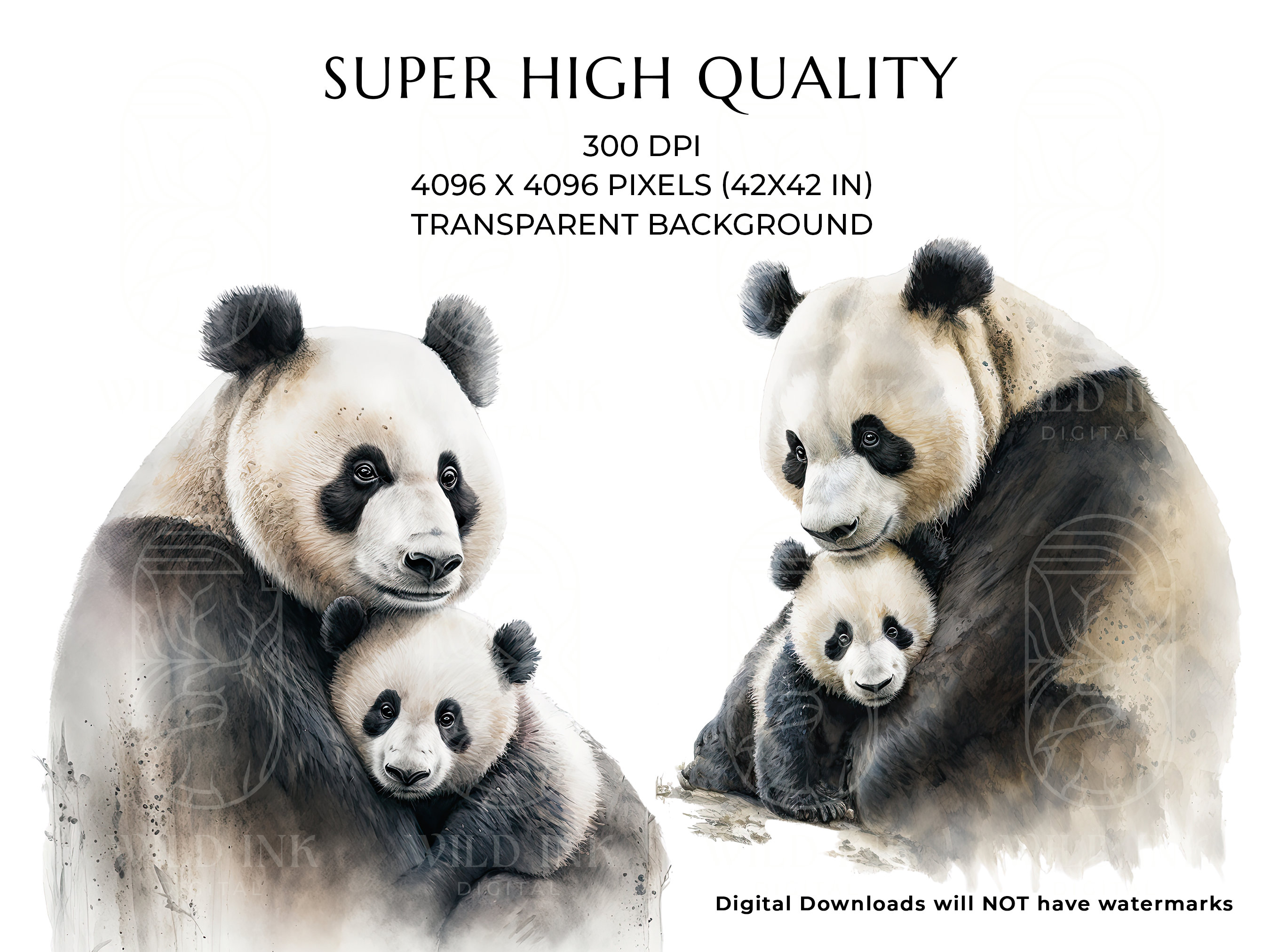 Mom and Baby Panda Bear Clipart 9 High Quality Pngs - Etsy