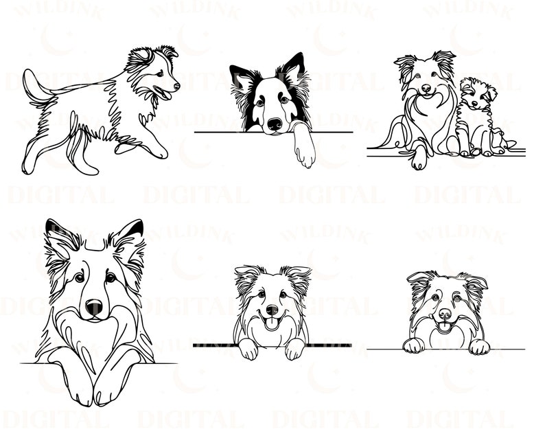 Border Collie Line Art: Dog SVG & PNG Clipart Bundle (digital Download ...