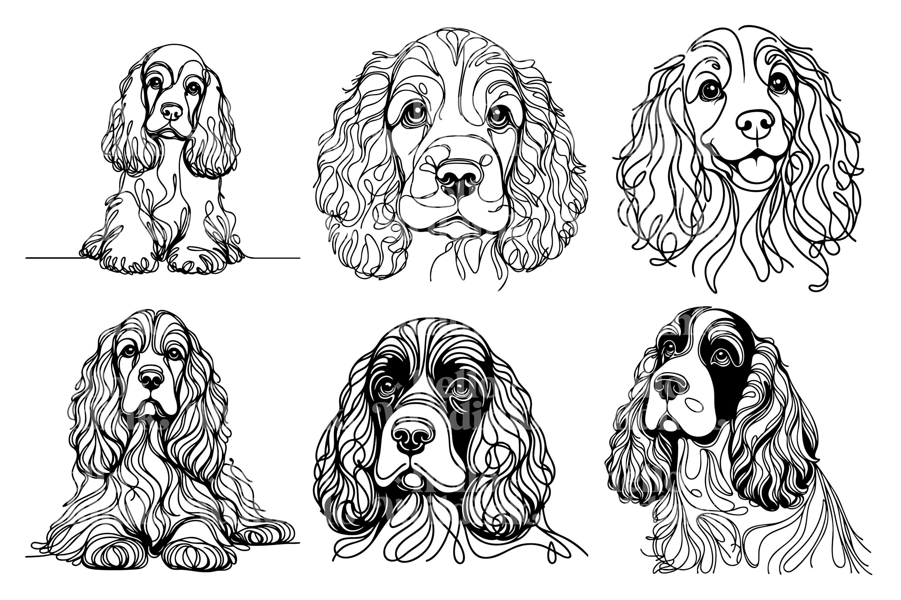 American Cocker Spaniel Line Art Clipart Bundle (digital Download) - Etsy