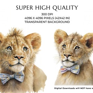 Baby Lion Watercolor Clipart: Safari Nursery Art (digital Download) - Etsy