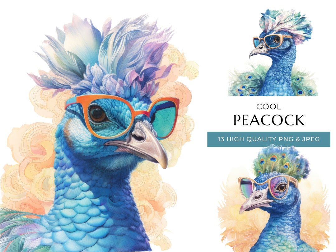Imágenes prediseñadas de pavo real de acuarela con gafas de sol, 13 PNG ...