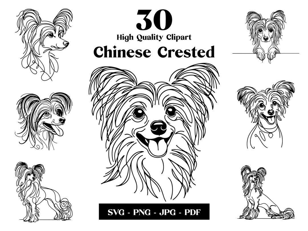 Chinese Crested SVG & PNG Clipart Bundle: Digital Line Art, Minimalist ...