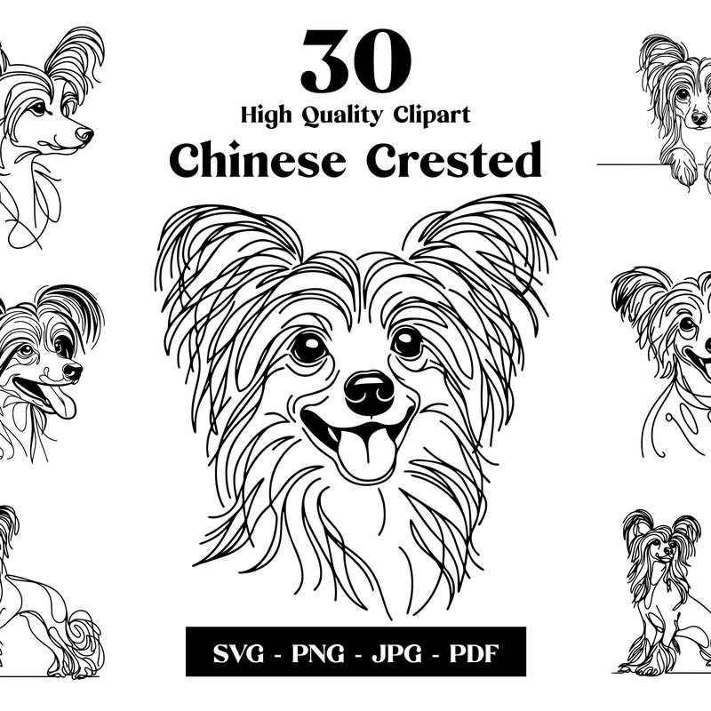 Chinese Crested Drawing - Etsy UK