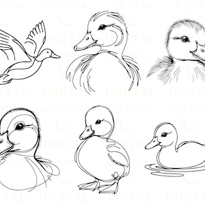 Duck Line Art SVG Clipart: Minimalist Farm Animal Vector (digital ...