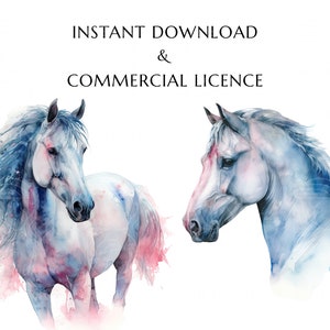 Watercolor Horse Clipart Bundle, 12 High Quality Pngs, Instant Digital ...