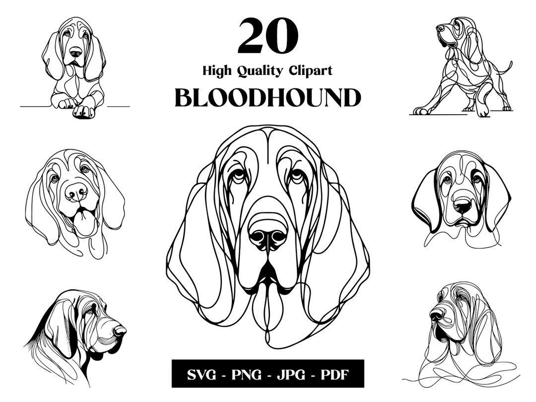 Bloodhound SVG & PNG Clipart Bundle: Digital Line Art, Minimalist ...