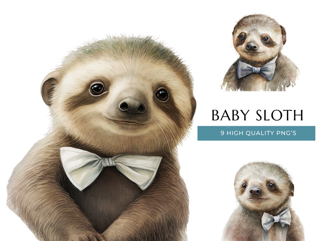 Baby Sloth With Bow Tie Watercolor Clipart of 9 Pngs, Cute Baby Animal ...