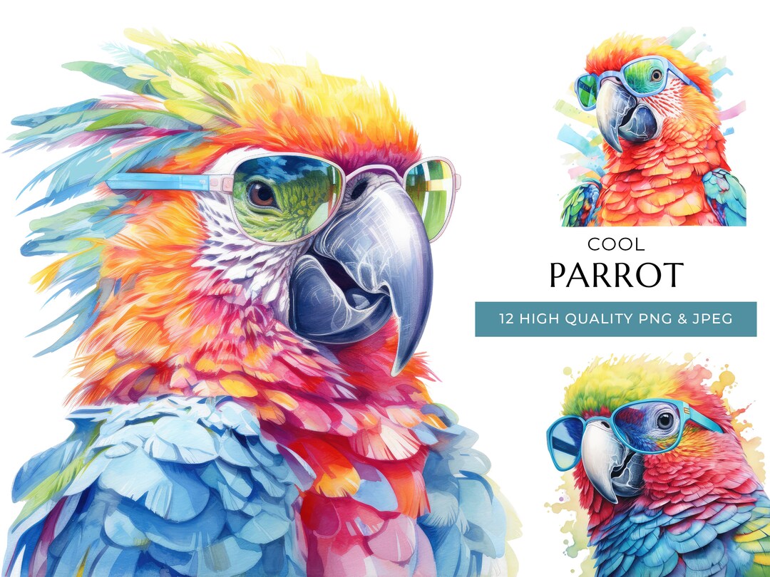 Watercolor Parrot Clipart With Sunglasses, 12 High-quality PNG & JPEG ...
