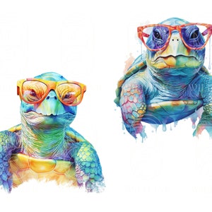 Watercolor Turtle Clipart With Sunglasses, 13 High-quality PNG & JPEG ...