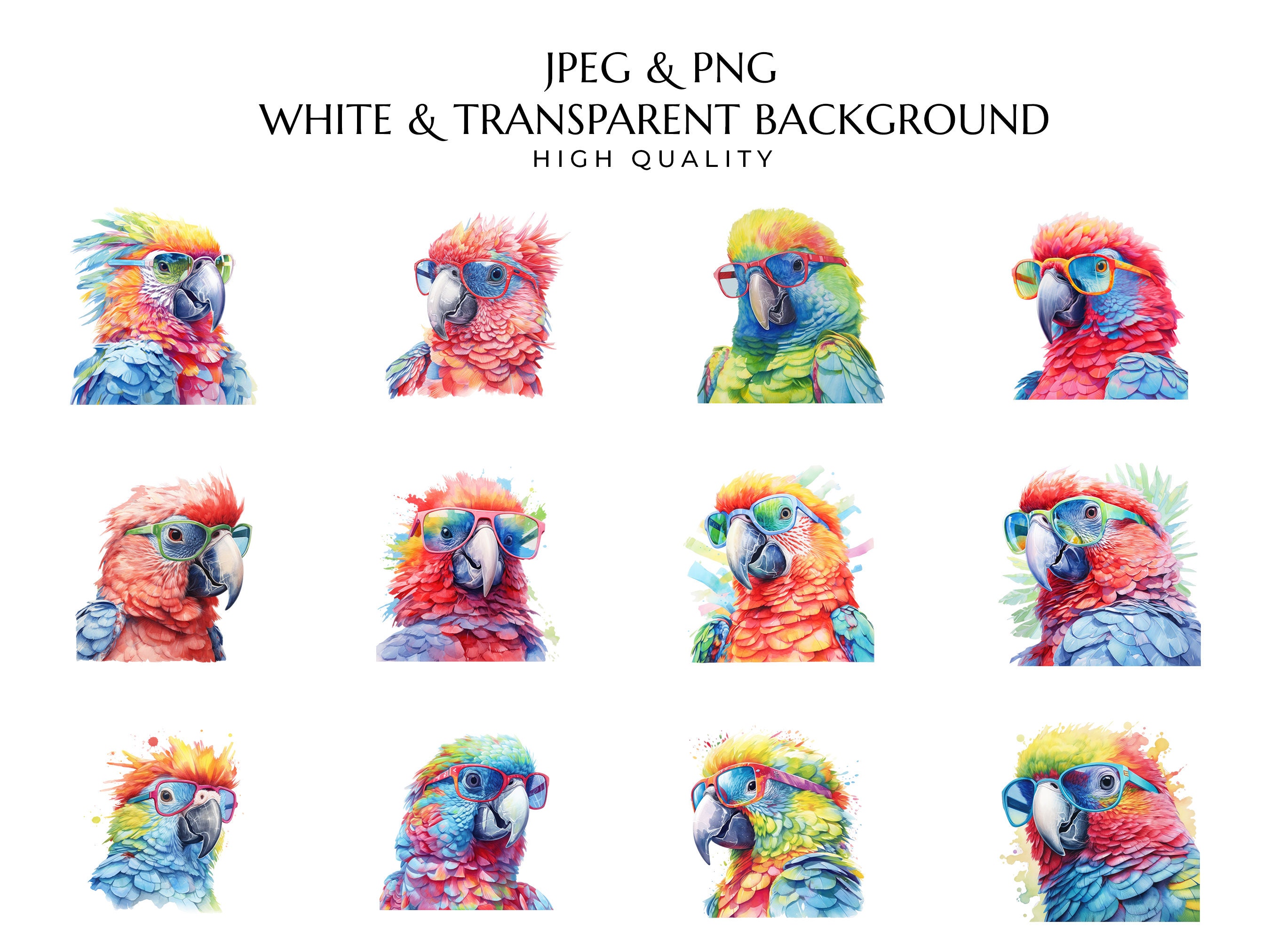 Watercolor Parrot Clipart With Sunglasses 12 High-quality PNG - Etsy
