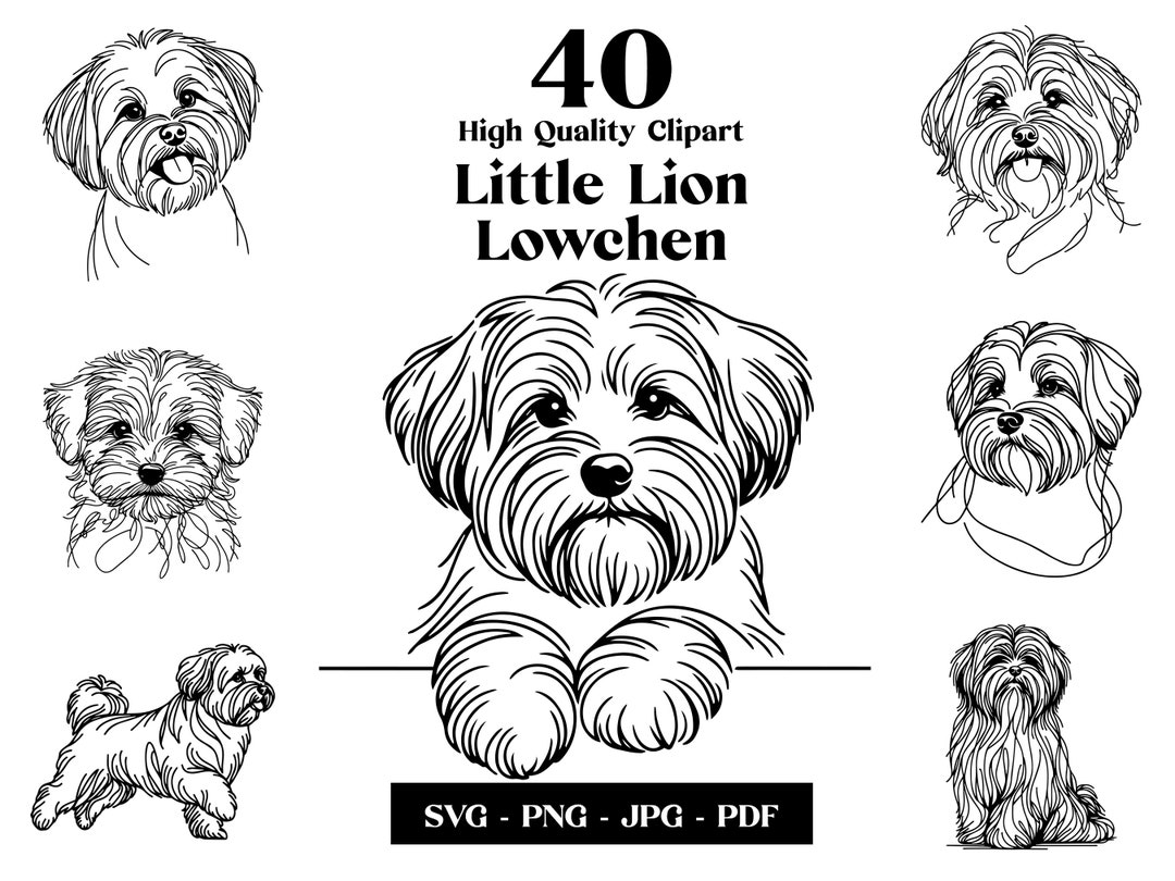 Lowchen Dog SVG & PNG Clipart Bundle: Little Lion Dog Digital Line Art ...