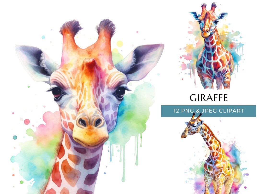 Watercolor Giraffe Clipart: Safari Animal PNG & JPEG (digital Download ...